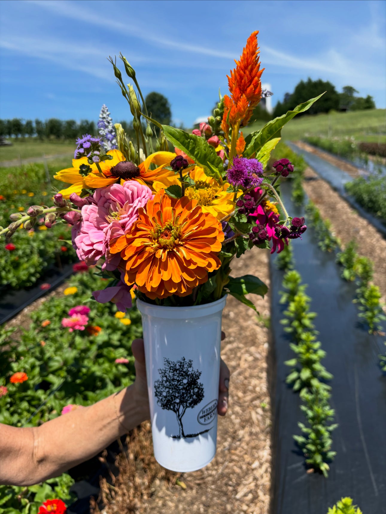 Farmer Jack's Flower Club | Weber's Cider Mill Farm, Inc.